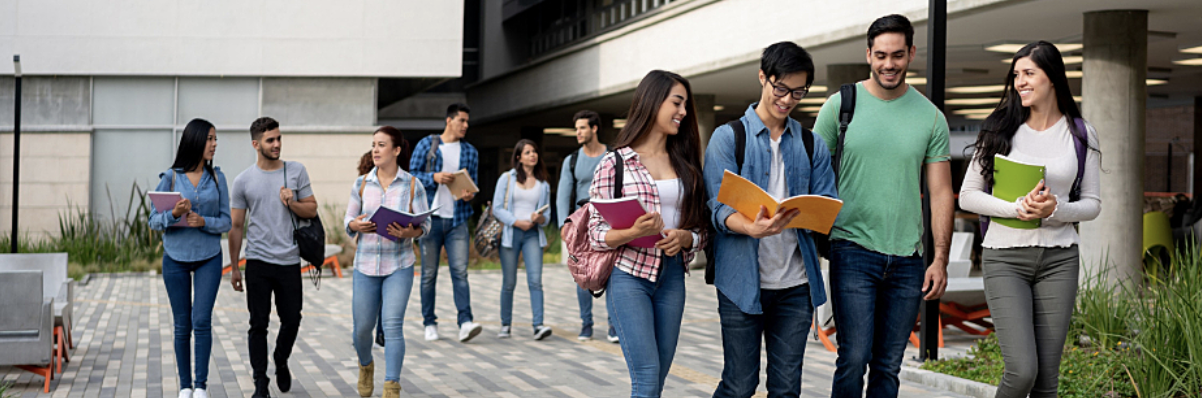 Hello Study | Intercâmbio